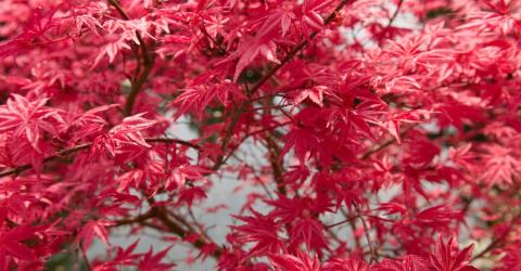 Jag Mundi | Royal Roads University - Our People